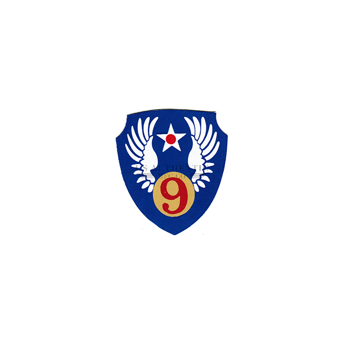 9 AF patch_from US AUTHENTIC