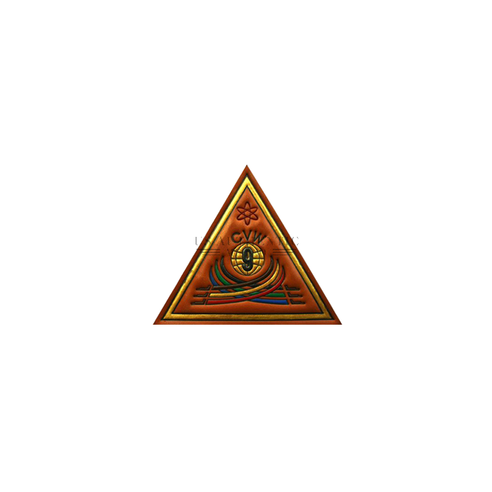 CVW-9 Patch_by US AUTHENTIC